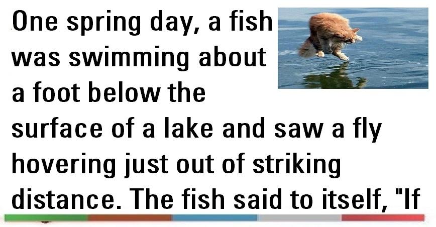 Funny Joke ‣ Fish and Cat Story | Satibal