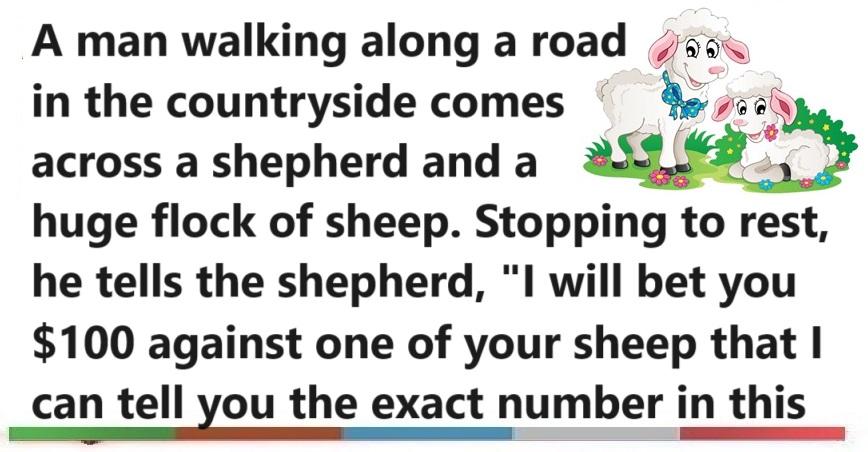Funny Joke ‣ Counting Sheep | Satibal