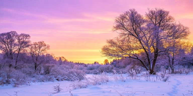 Story ‣ A Cold Winter | Satibal