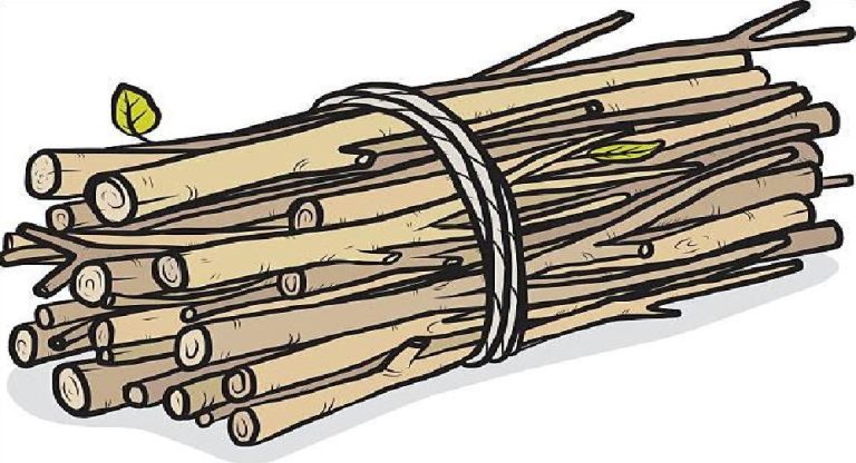 Moral Story ‣ Bundle Of Sticks | Satibal