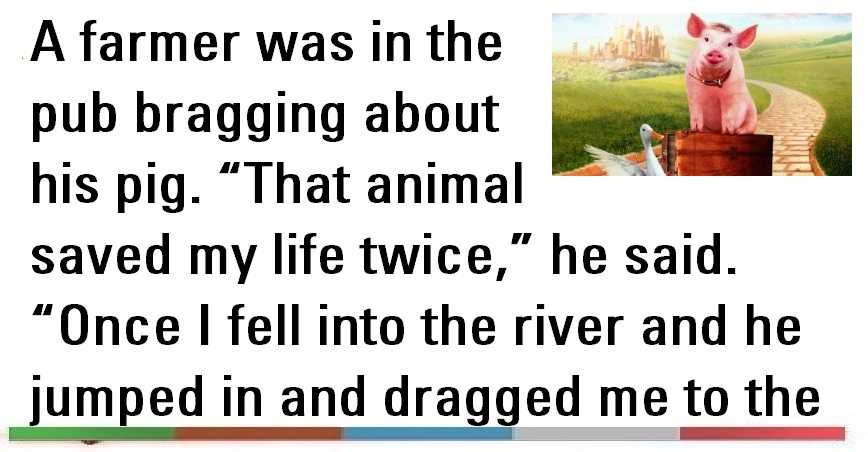 Funny Joke ‣ Brave Pig | Satibal